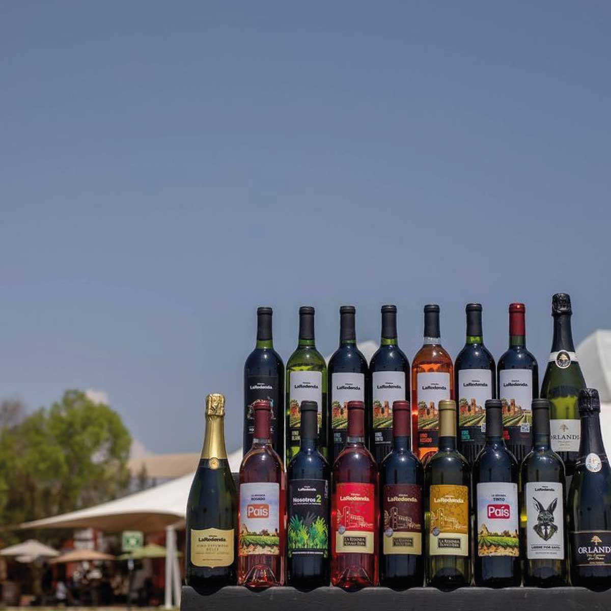 Sé parte del festival Wine Colors 2023 en Querétaro - Travel & Life
